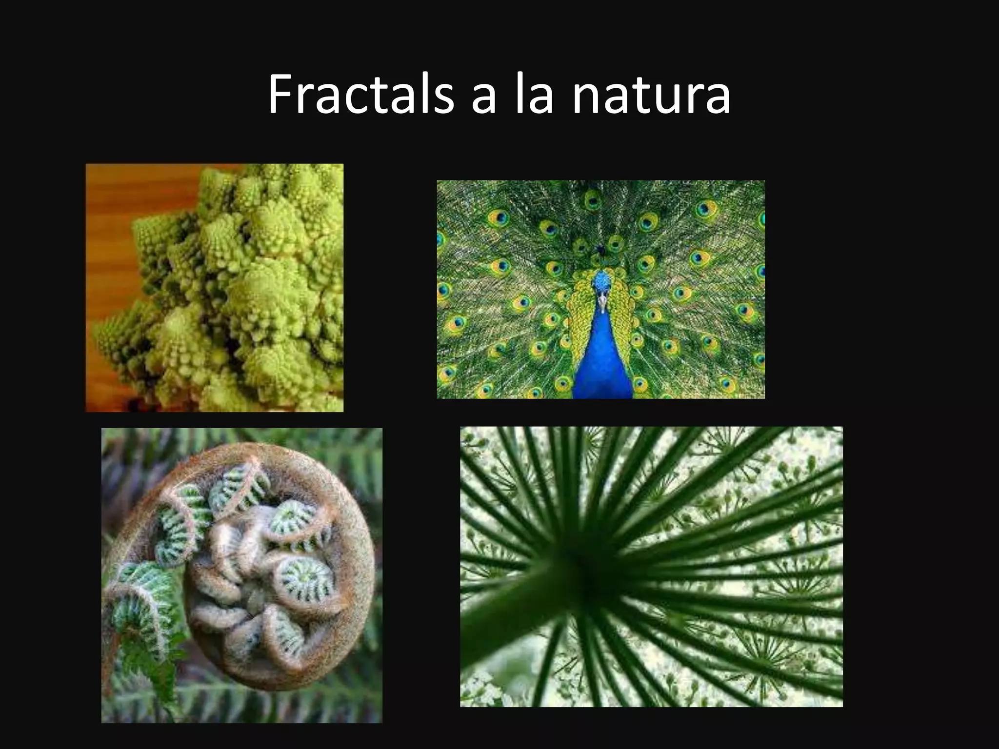 Fractals | PPT