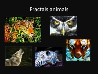 Fractals | PPTX