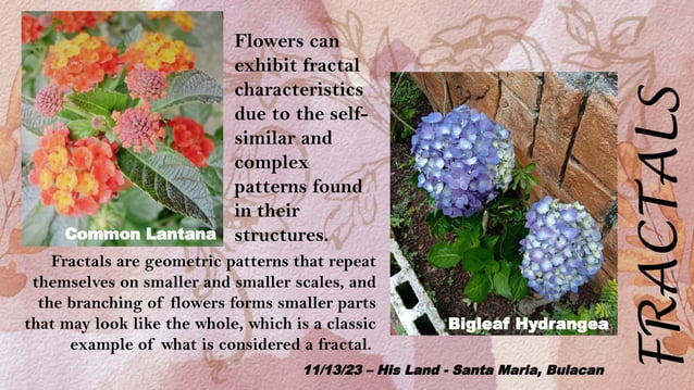 fractals beyond the walls, geed004 advance math project.pptx