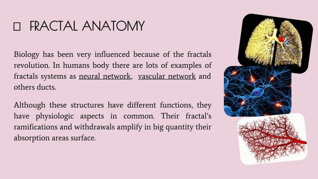 Fractals in medicine | PPT