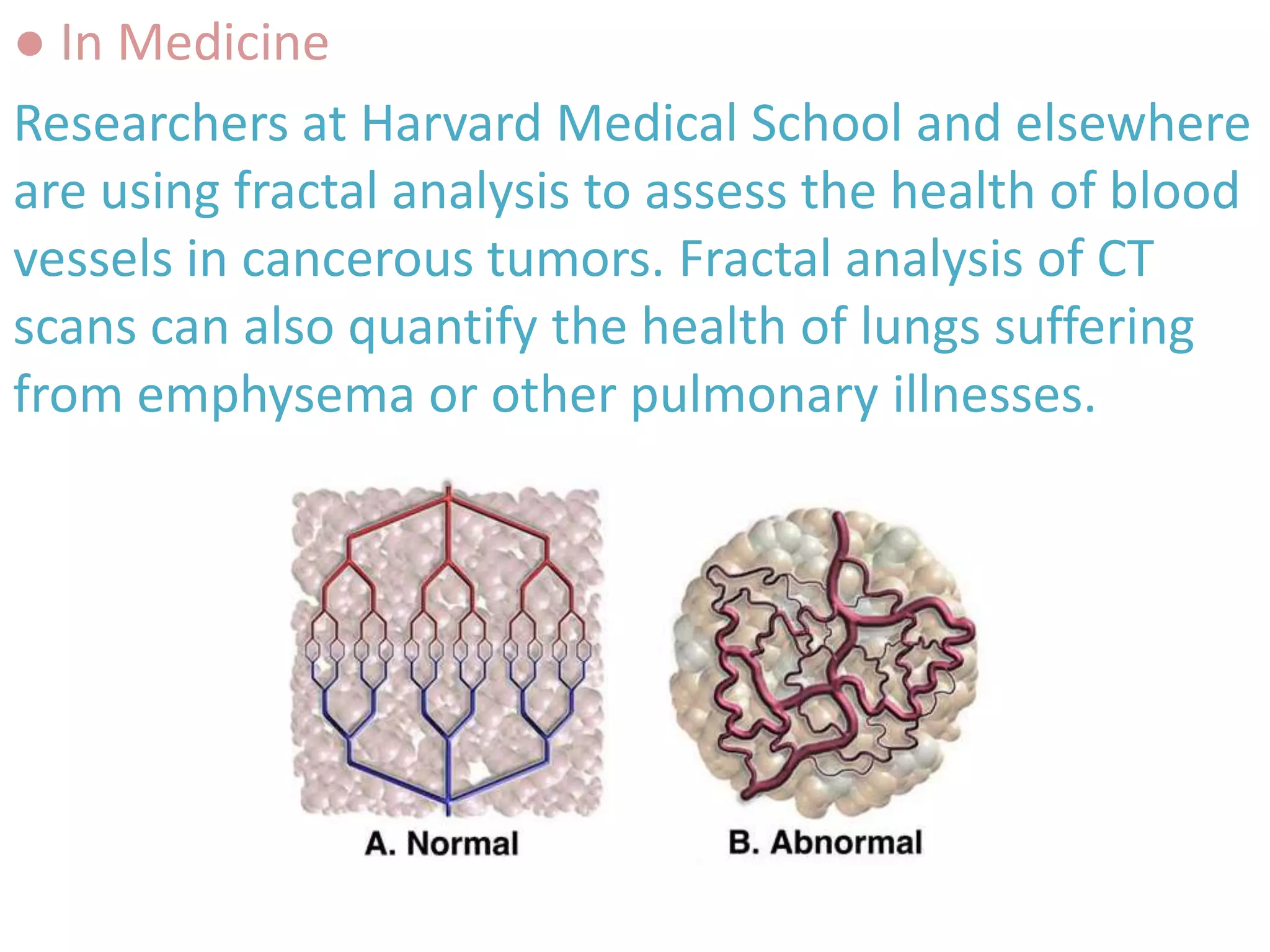 Fractals in physics | PPT