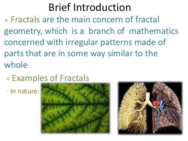 Fractals in physics