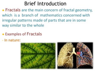 Fractals in physics | PPT