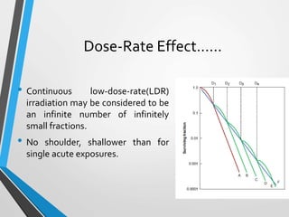 Fractionated radiation and dose rate effect | PPTX