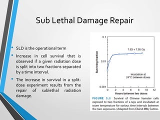 Fractionated radiation and dose rate effect | PPTX