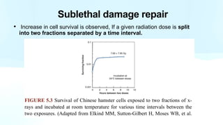 Fractionated Radiation radiation oncology pptx | PPTX