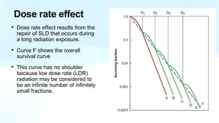 Fractionated Radiation radiation oncology pptx | PPTX
