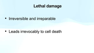 Fractionated Radiation radiation oncology pptx | PPTX