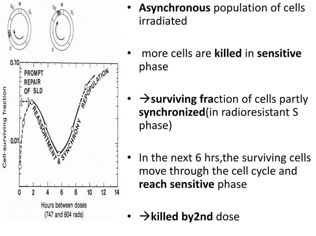 Fractionation in radiotherapy | PPTX