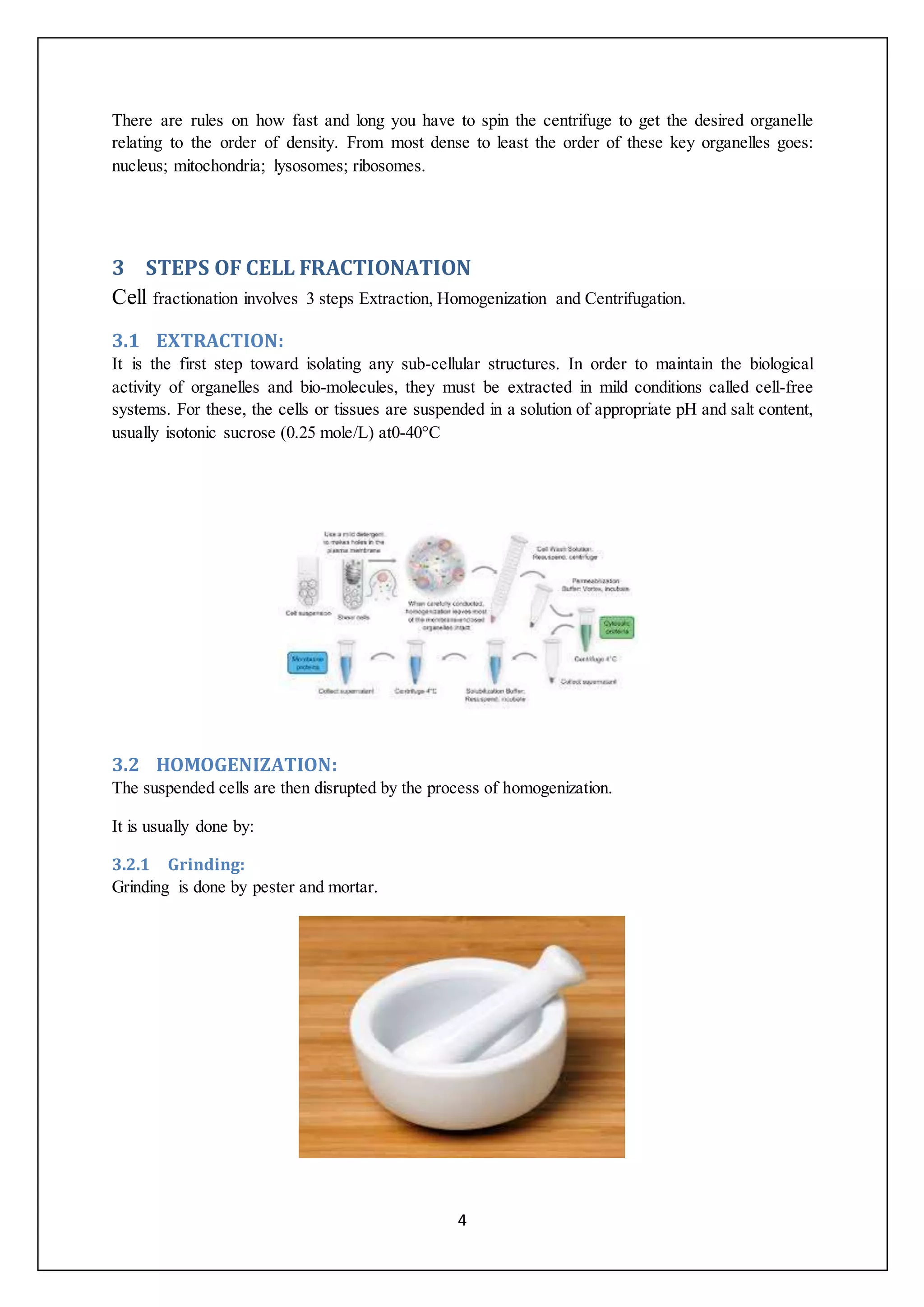 Fractionation of cells | DOCX