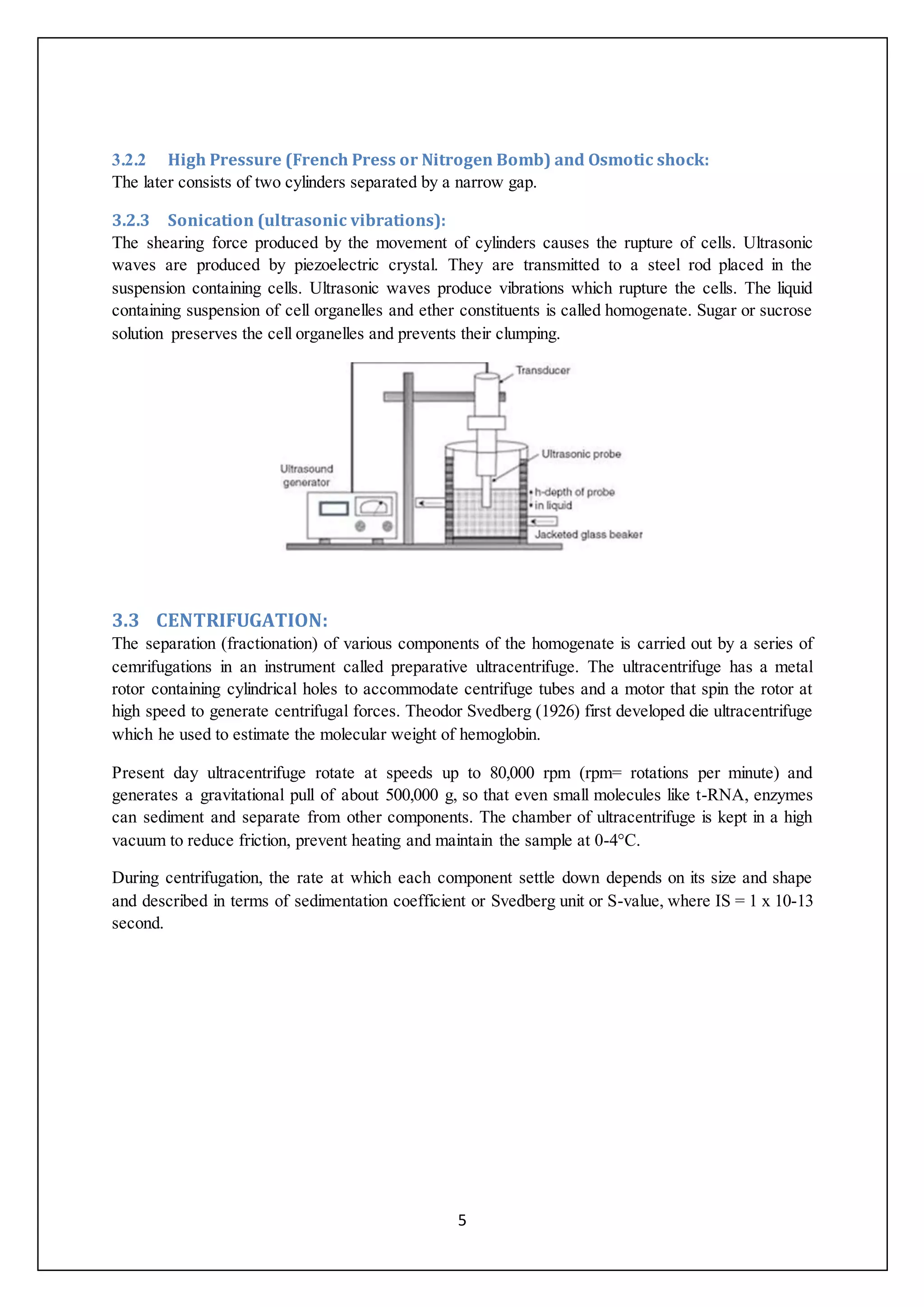 Fractionation of cells | DOCX | Biological Sciences | Science