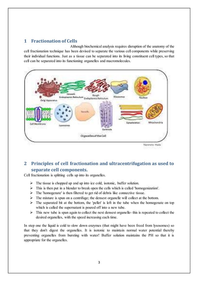 Fractionation of cells | DOCX | Biological Sciences | Science