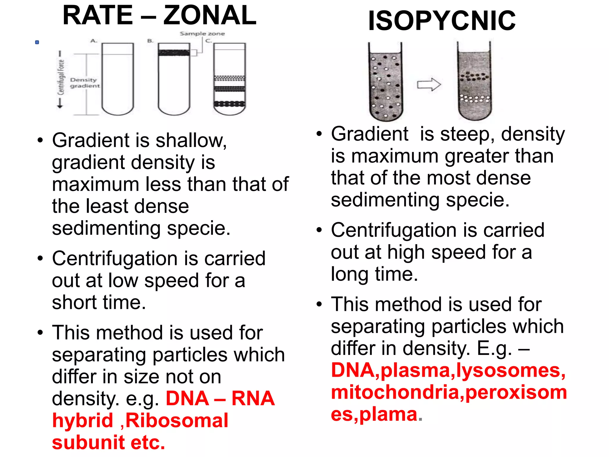 Cell Organelle Fractionation | PPTX