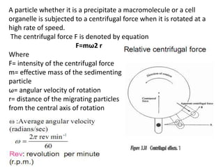 Cell Organelle Fractionation | PPTX