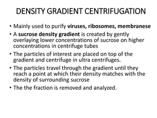 Cell Organelle Fractionation | PPTX