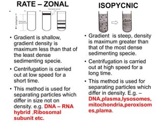 Cell Organelle Fractionation | PPTX