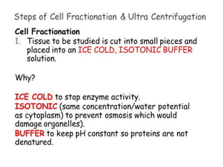 Cell Organelle Fractionation | PPTX