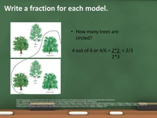 Fractions and modeling | PPTX