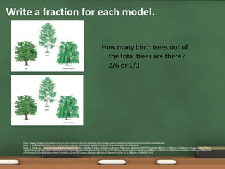 Fractions and modeling | PPTX