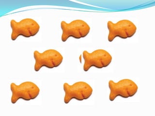Fractions With Goldfish Crackers | PPSX