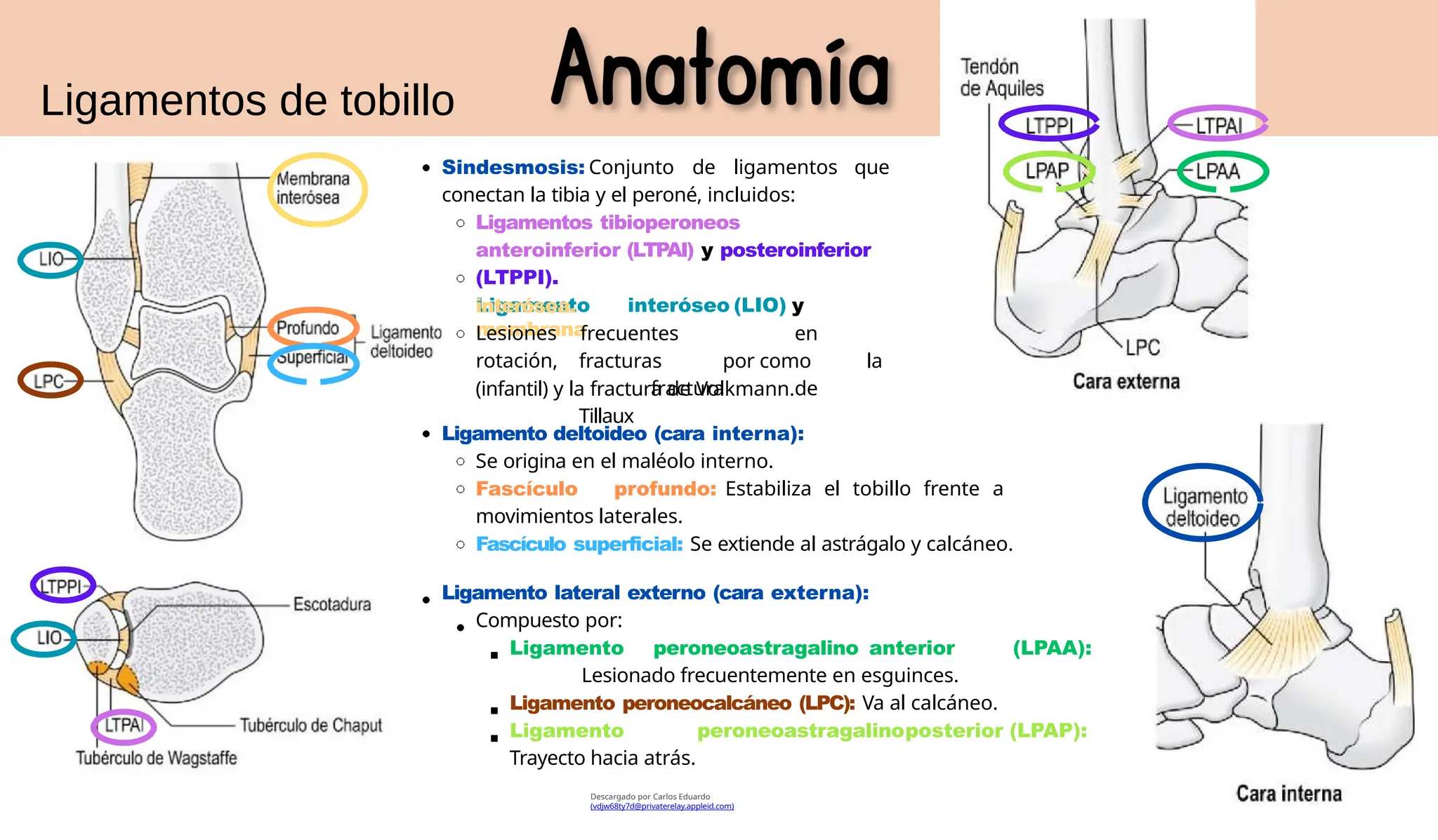 Presentación de fractura-de-tobillo en medicina | PPTX