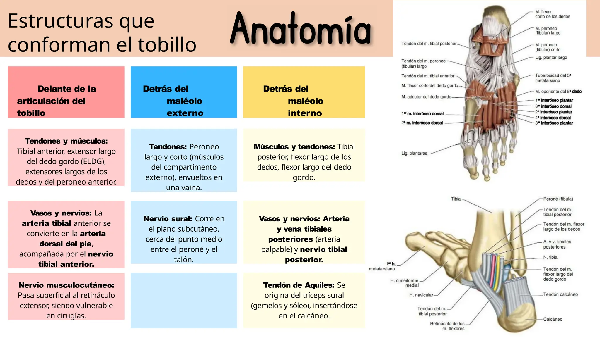 Presentación de fractura-de-tobillo en medicina | PPTX