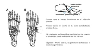 fracturas de quinto metatarsiano ..pptx