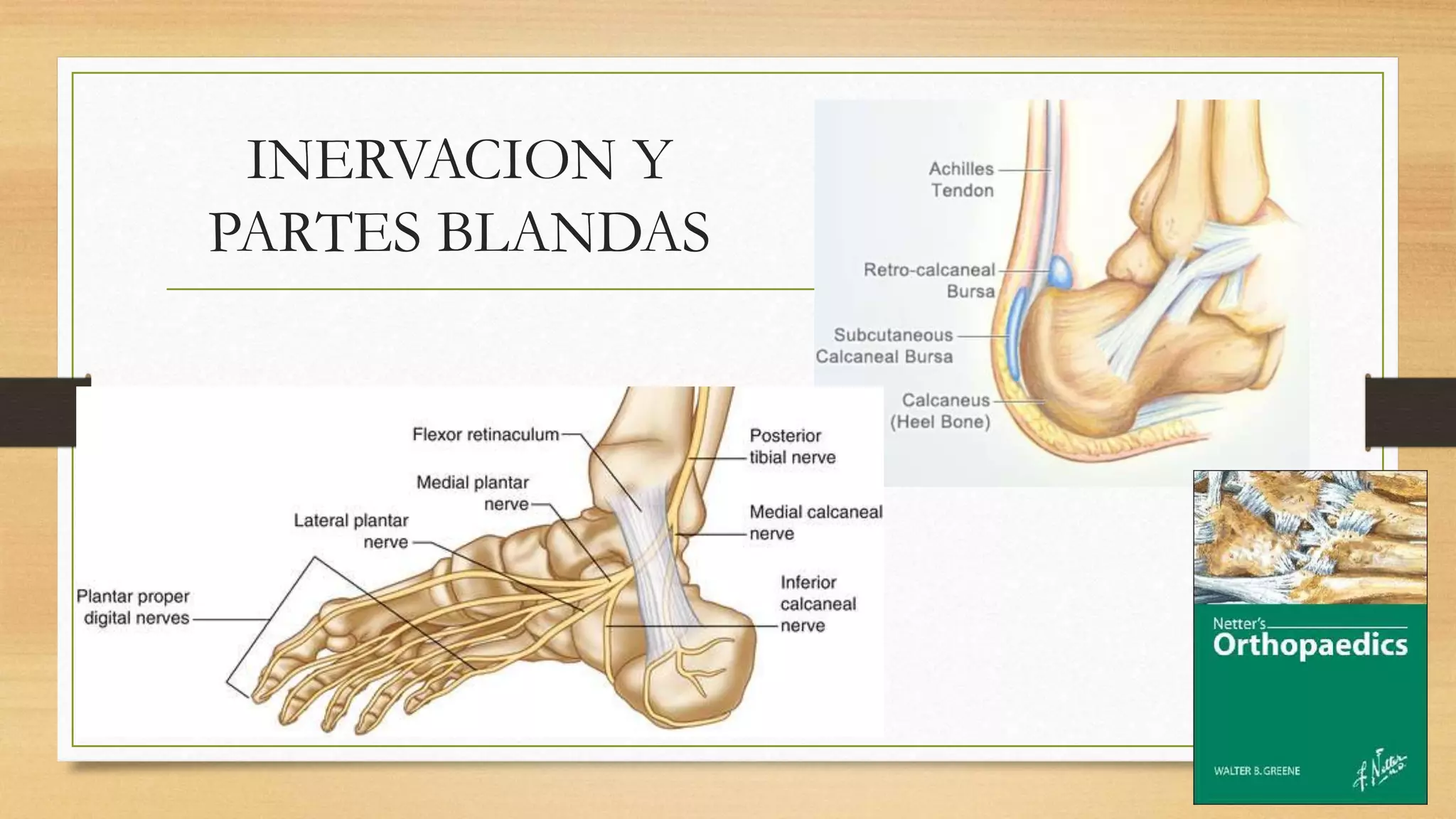Fractura de calcaneo | PPTX