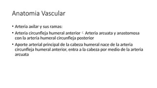 FRACTURA DE HUMERO PROXIMAL de traumatologia | PPTX