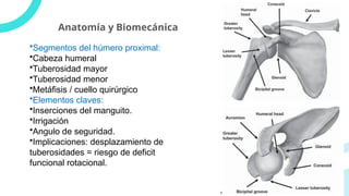 fractura del humero proximal Dr Hernandez..pptx