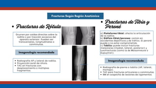 FRACTURA DE MIEMBROS SUPERIORES E INFERIORES.pdf