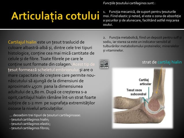 Fractura de olecran | PPTX