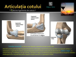 Fractura de olecran | PPTX