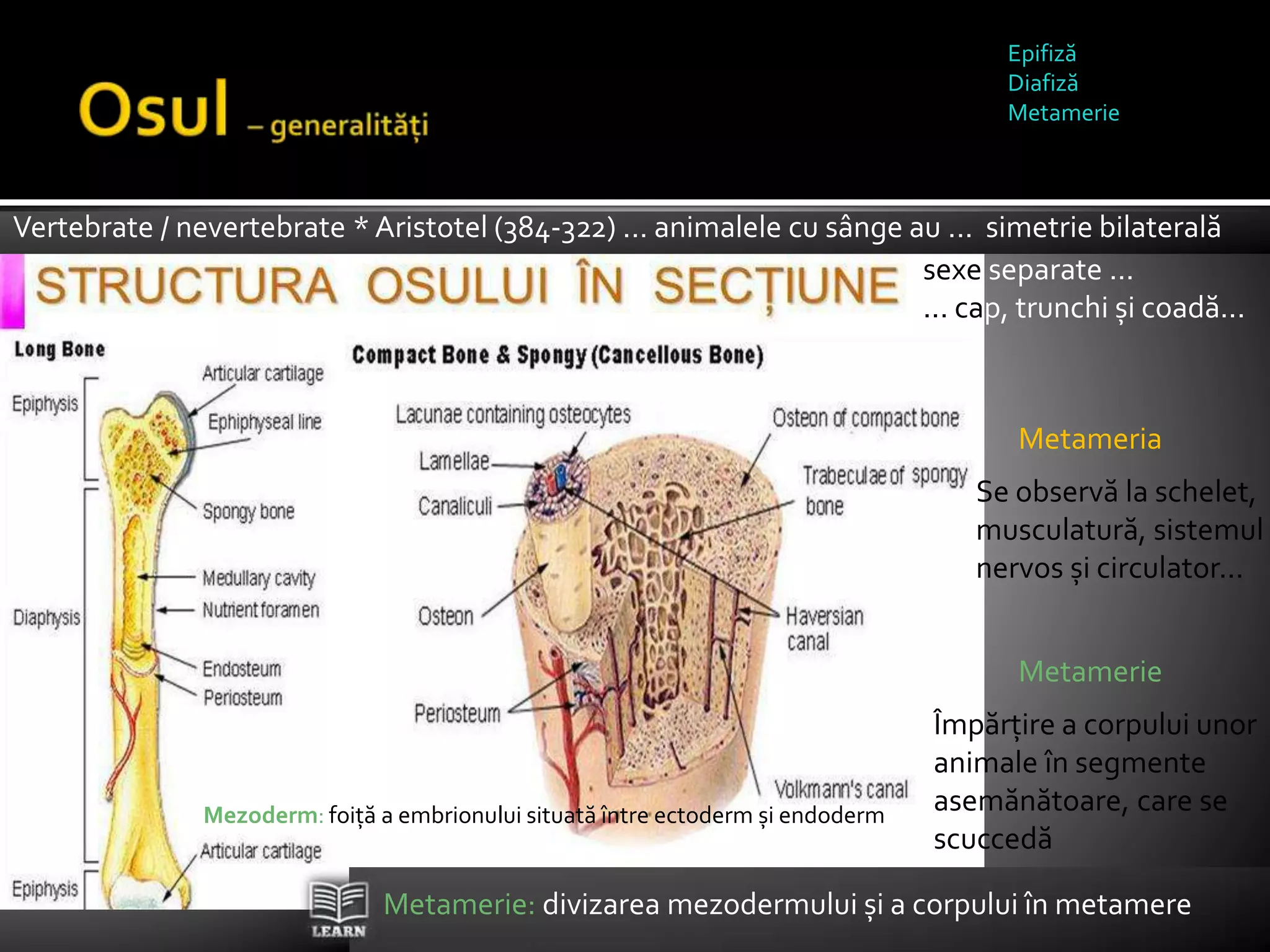 Fractura de olecran | PPT