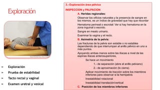 Fractura de pelvis-unerg.pptx............ | PPTX
