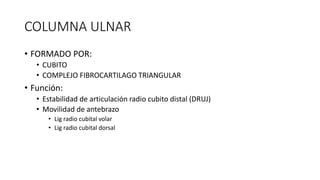 FRACTURA DE RADIO DISTAL.pptx