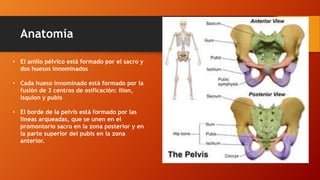 FRACTURA PELVIS Y ACETABULO EN ORTOPEDIA .pptx
