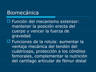 Fractura rotula y fx platillos tibiales | PPT