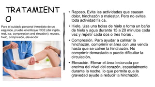 Fractura y esguince y luxación fisioterapia | PPTX