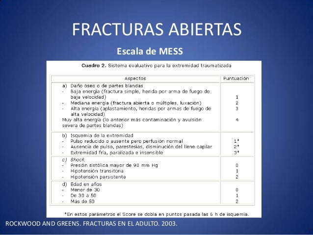 Fracturas abiertas