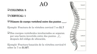 Fracturas DE LA COLUMNA cervicaL Y SUSs.pptx