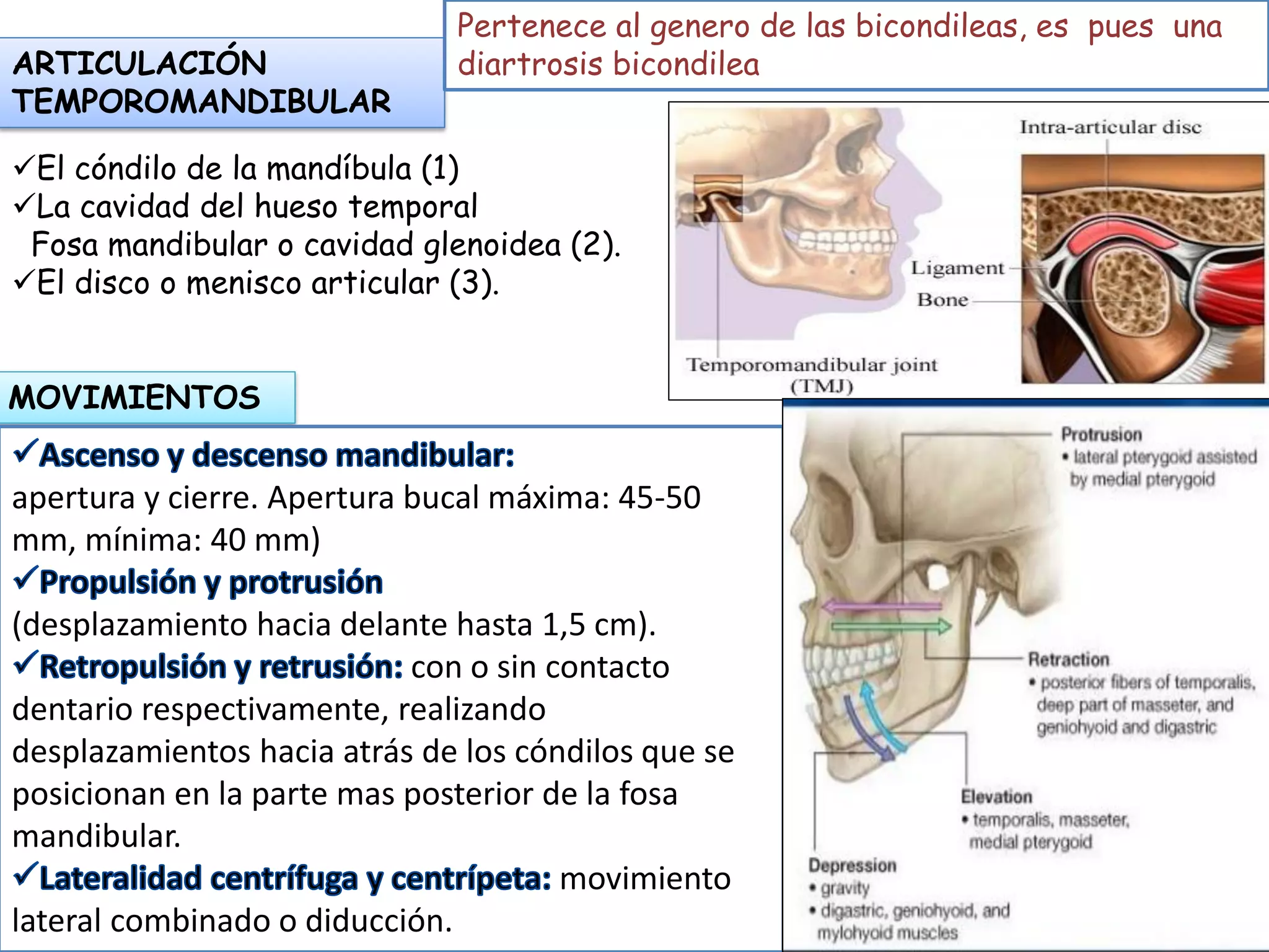 Fracturas de cóndilo mandibular | PDF | Bone and Joint Conditions ...