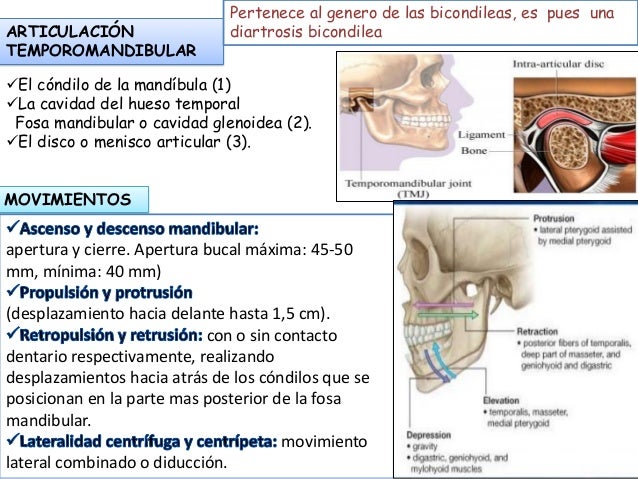 Fracturas de cóndilo mandibular