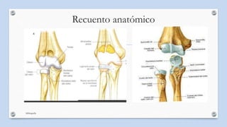 FRACTURAS DE EXTREMO PROXIMAL DE CUBITO Y RADIO hospital.pptx