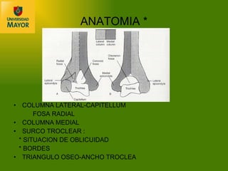 Fracturas de humero | PPT