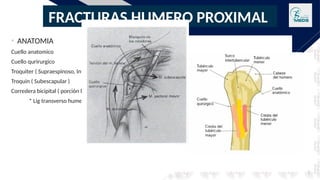 Fracturas de Humero proximal distal y diafisiario | PPTX