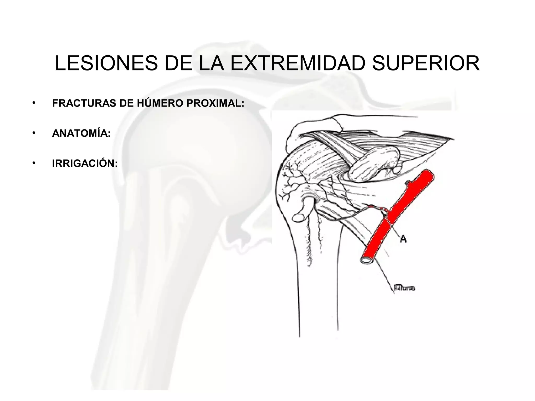 Fracturas de humero proximal (2) | PPT