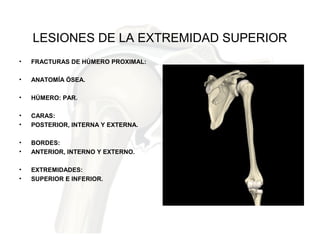 Fracturas de humero proximal (2) | PPT