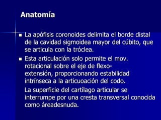 Fracturas de la diafisis humeral y fracturas de codo | PPTX