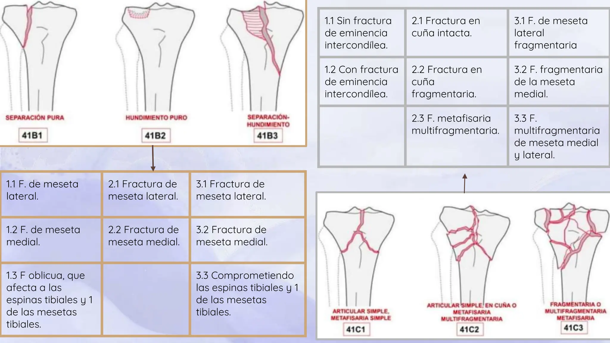 FRACTURAS DE LA MESETA TIBIAL c.pptx